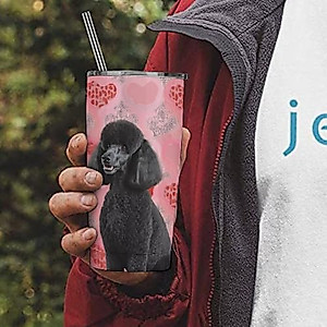 20 Oz Tumbler With Straw Leak Proof Thermos Cup, Poodles Dogs Stainless Steel Insulated Travel Coffee Mug Fit for Car Cup Holder