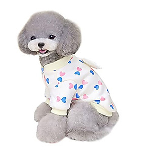 Dog Clothes for Small Dogs,Kawaii Dog Sweaters with Wing Decoration for Small Dogs Girl and Boy,Puppy Clothes Soft Warm for Winter,Autumn White M