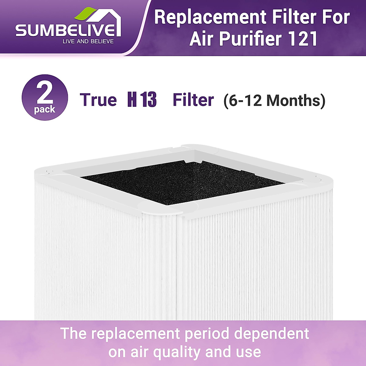 Aneedmore 121 Replacement Filter Compatible with Blueair 121 Air Purifier, True H13/ Carbon Prefilter Cotton Combo Filters - 2PACK