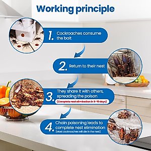 32PCS Roach Bait & Killer, Roach Repellent and Gel for Roach Nest Elimination of Indoor Infestations, Effective Solution for Small to Large Cockroaches, Easy to Use, Ideal for Hidden Areas
