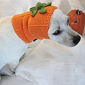 cyeollo Dog Pumpkin Costume Funny Dog Snood Knitted No Flap Ear Wrap Hood for Pets Small Dog Halloween Costumes