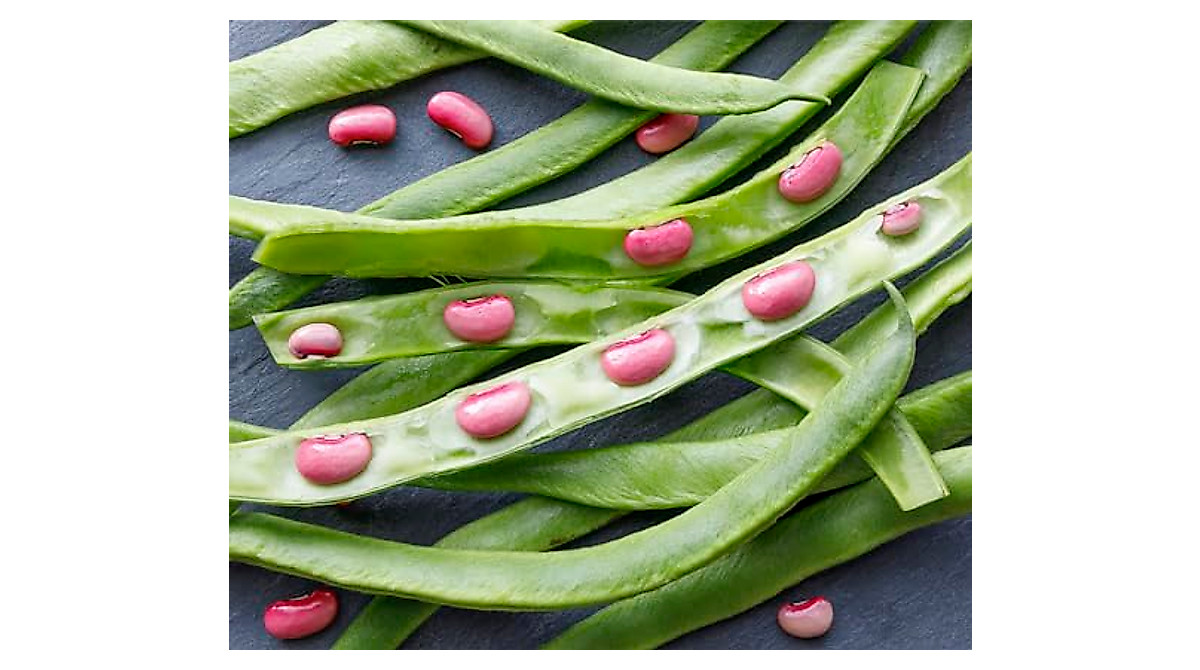 Heirloom Scarlet Runner Beans - Non GMO Seeds