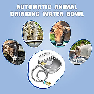 Automatic Animal Drinking Water Bowl with Float Valve, 304 Stainless Steel Kit Includes Bowl, Pipe, 2 Valves, Quick Connector Adapter and Countersunk Bolts.