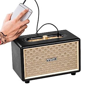 Home Speaker with Premium Audio | Rich Bass, Rotary Dial for Volume Control | Toggle Switch, Wireless Bluetooth & 3.5mm Aux Input for Turntable | Record Player, AC Powered (Upgraded Version)