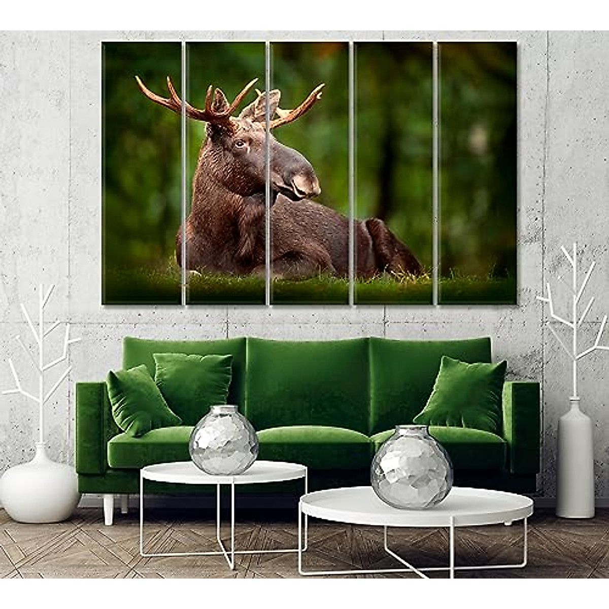 American Moose in Natural Habitat Canvas Print 5 Panels / 36x24 inches