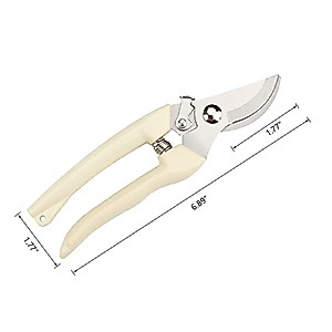 Garden Scissors for Plant, Tip Pruning Shears for Cutting Flowers, Trimming Plants, Bonsai and Fruits Picking (Bypass Blade Pruner)