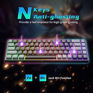 60% Percent Mechanical Gaming Keyboard, RGB Backlit 68 Keys Ultra-Compact Wired Keyboard with Detachable Type-C Cable, Full Anti-Ghost, Blue Switch Portable Mini Keyboard for Windows PC Mac Xbox Gamer