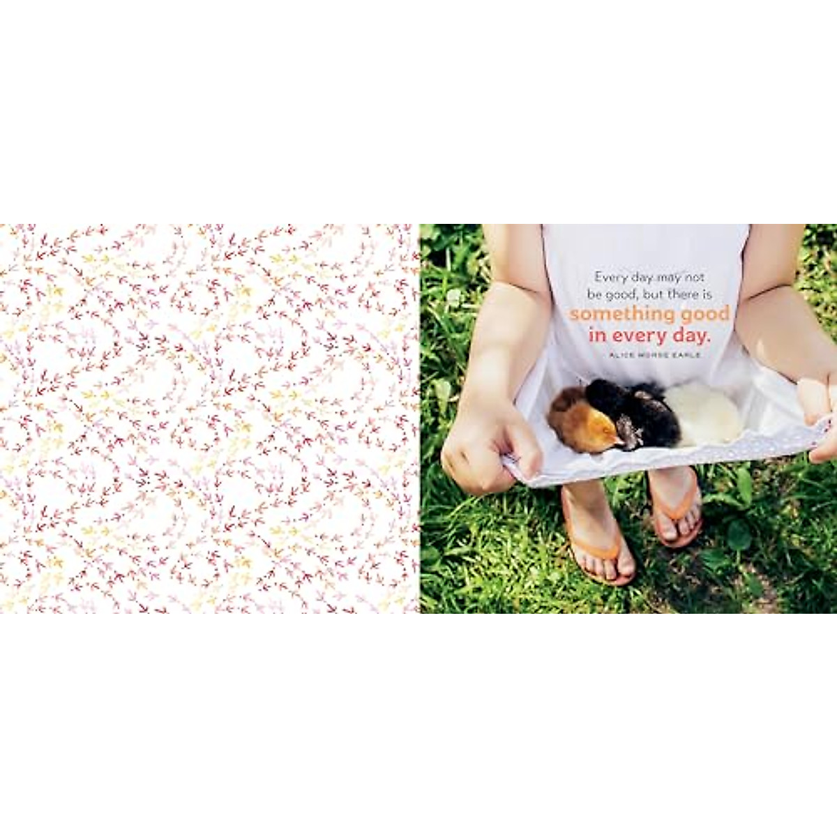 Chicken Wisdom Frame-Ups: 50 Inspirational Prints to Put You in a Fresh Frame of Mind