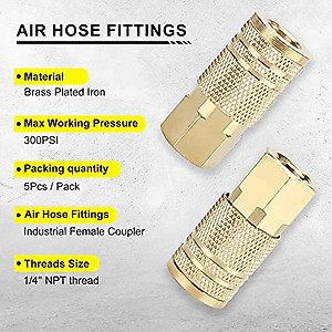 hynade 1/4 Inch NPT Brass Female Air Coupler, Pneumatic Plugs, Air Plug(1/4'' M-NPT)