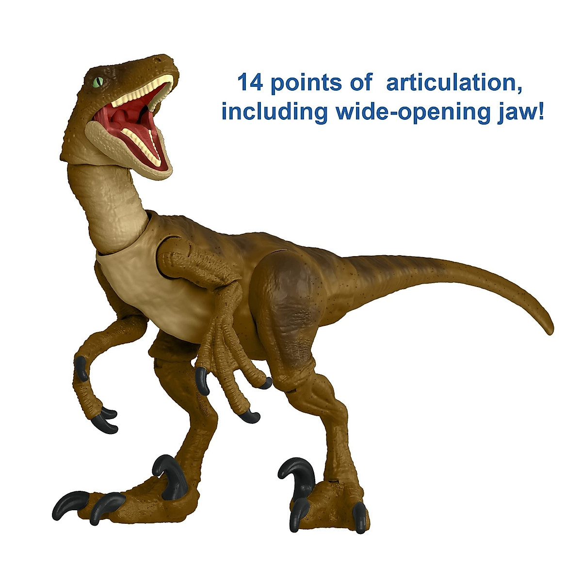 Jurassic World Toys Jurassic Park Hammond Collection Velociraptor Dinosaur Action Figure, 7.5 in Long with 14 Movable Joints, Gift and Collectible