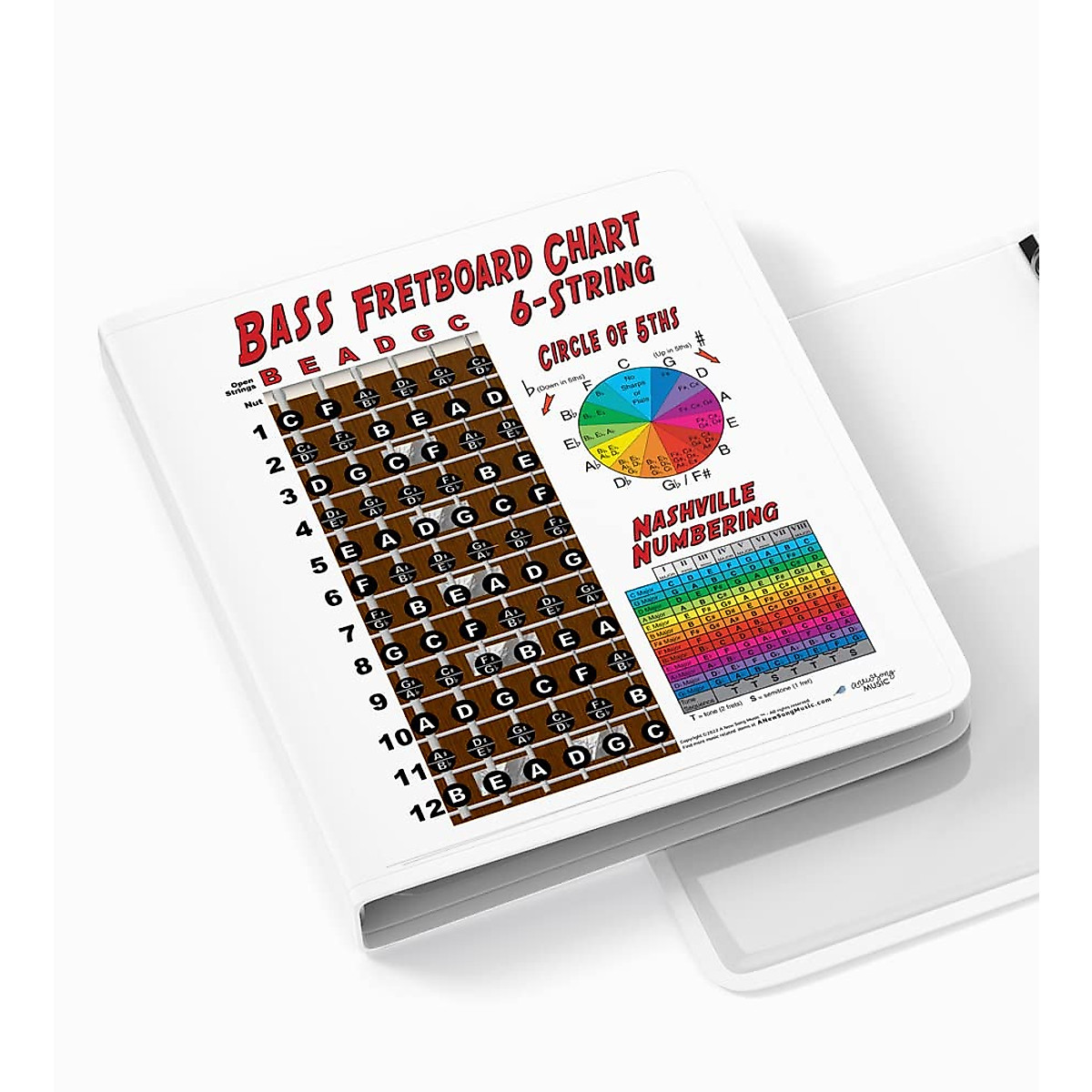 Laminated 6 String Bass Fretboard Notes Chart Nashville Number System & Circle of 5ths Easy Instructional Poster for Beginner for Notebook - A New Song Music 8.5 x 11