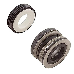 Missiscily 354545S 354545 5/8" Shaft Seal kit fits Pentair Pool/Spa Pump 92500150 SPX2700SA ps-200 (Set 1)