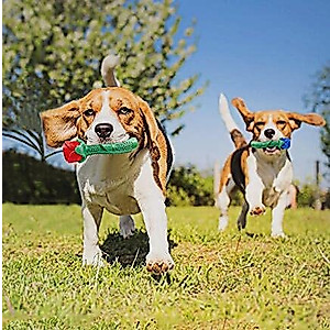 Blingbrione Dog Chew Toys for Large Breed Aggressive Chewers, Puppy Durable Rose Rubber Teething Toys for Small/Medium Dog, Tough Toys for Training and Cleaning, Interactive Dog Valentine's Day Gift