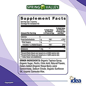 Spring Valley Vegetarian Melatonin Gummies for Kids, Sleep Support, 60 Ct (2 Pack) Bundle with Exclusive Have a Great Sleep - Better Idea Guide (3 Items)