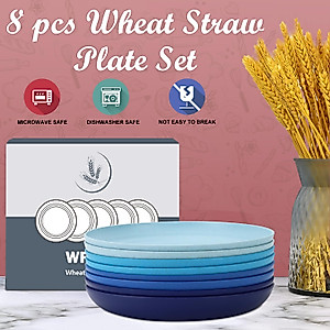 Wheat Straw Salad Plates - 9 Inch Unbreakable Dinner Plates Set of 8 - Dishwasher & Microwave Safe Plastic Plates Reusable - Lightweight Plates for kitchen,camping (Ocean)
