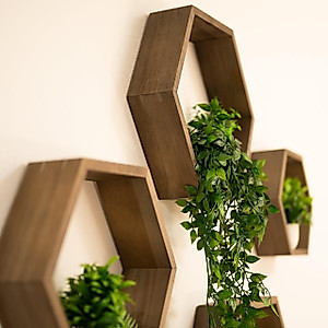 Farm and Posh Large Hexagon Floating Shelves Set of 4 – Honeycomb Shelf, Crystal Display Shelf, Wood Hexagon Wall Shelves, Farmhouse Display Shelves for Hexagon Wall Decor (Dark Walnut)