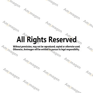 Amimagen Animals Climbing Trees Wall Stickers - Lion Monkey Sloth Koala Toucan Wall Decals - Baby Nursery Kids Room Daycare Playroom Classroom Wall Decor