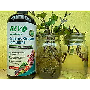 Organic REV Natural Plant Food 32 Ounce for Healthier Plants