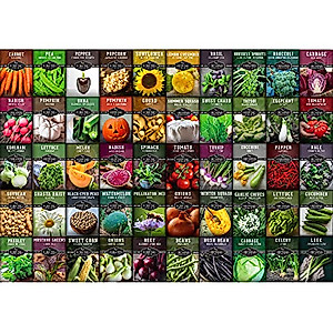 Survival Garden Seeds Homesteader Seed Vault - Vegetable Herb & Flower Seed Bank - 50 Heirloom Non-GMO Varieties for Planting & Growing Victory Gardens - Survival Food Emergency Preparedness Gear Kit