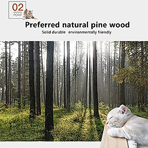 Cat Wall Shelves, Shelves and Perches for Wall, Furniture Set 7 PCS Mounted with 1 Condos House, 4 Sisal Scratching Post, Ladder