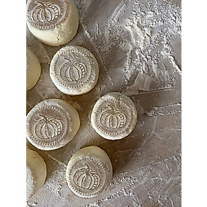 Cookie Stamp Harvest Holiday Food Stamper - Pumpkin and Harvest Leaf Design - Desserts Food or Ink Stampers - 2 Piece Set