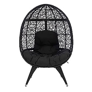 Linon Cloyd Metal Indoor Outdoor Round Chair in Black