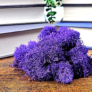 NW Wholesaler 1 LB Purple Preserved Reindeer Moss - Indoor Outdoor for Potted Plants, Terrariums, Fairy Gardens, Arts and Crafts or Floral Decor Design