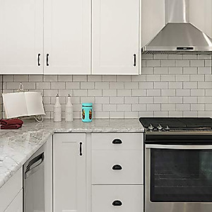 Blue Donuts 32 Oz Glass Jars with Airtight Lids - Glass Kitchen Canisters, Glass Containers for Food Storage with Lids, Airtight Food Storage Containers for Pantry, 946 ML Clear Jars, Turquoise