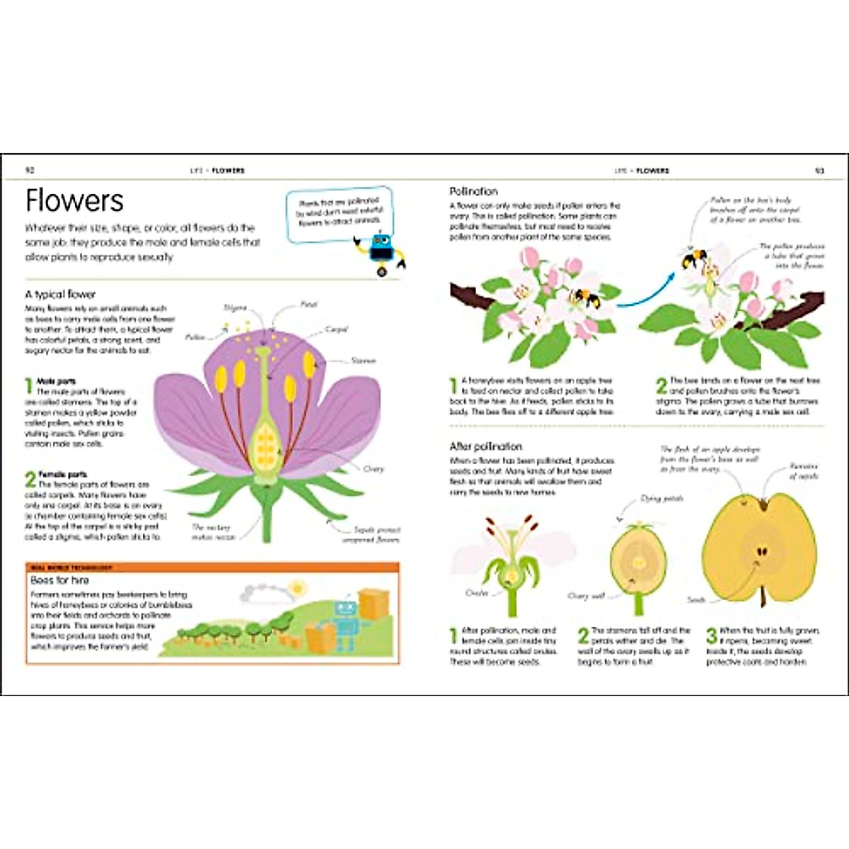 How to Be Good at Science, Technology, and Engineering (DK How to Be Good at)