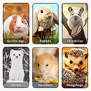 Fhiny 2 PCS Guinea Pig Cage Liner Plaid Washable Guinea Pig Bedding Reusable Small Pet Pee Pads Fast Absorbent Waterproof Anti Slip for Rabbits Bunny Hamsters or Other Small Animals