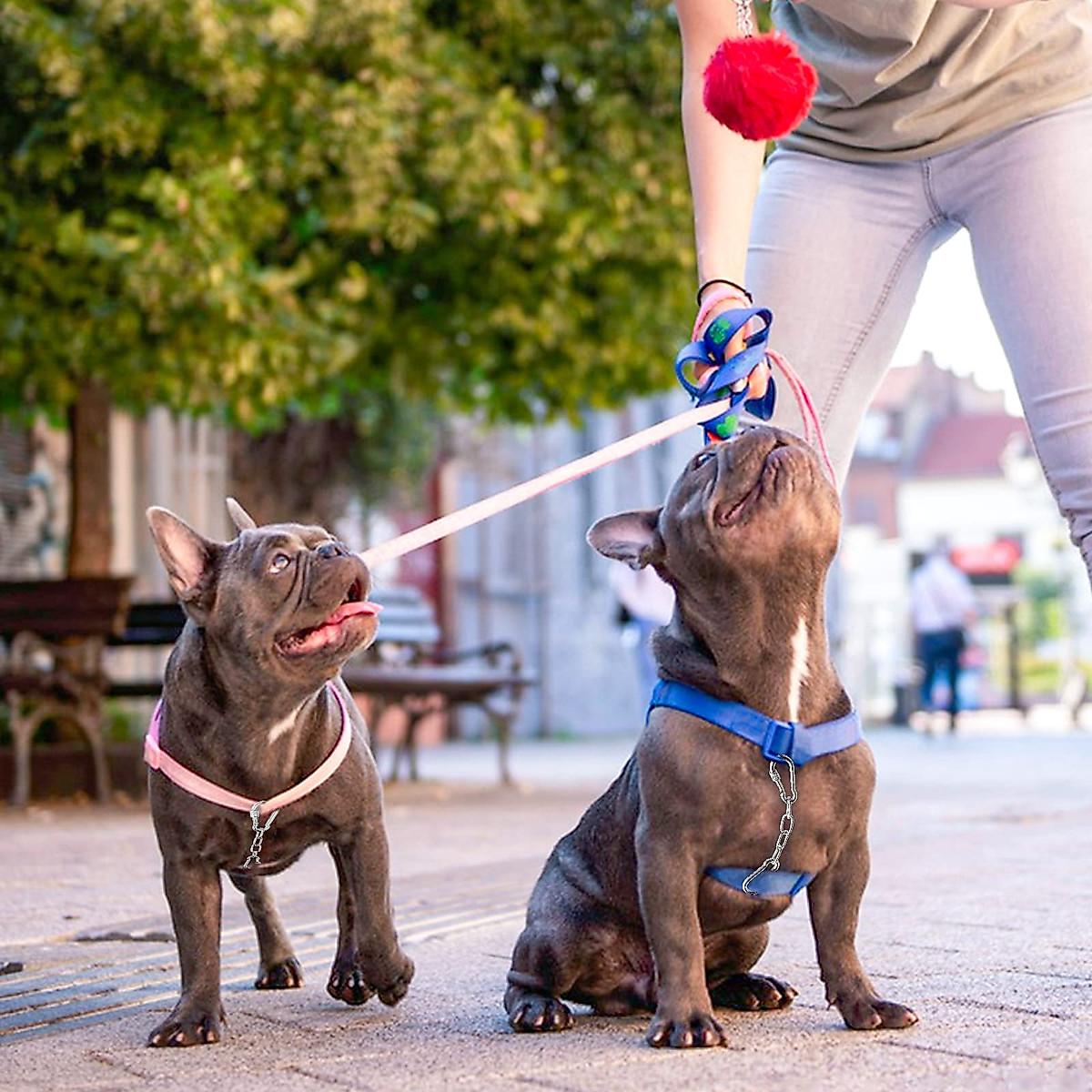 Dog Collar Backup Clip, Chew Proof Double Ended Backup Metal Safety Clasp Pet Dog Leash Connector, Heavy Duty Chain Safety Clip for Prong Collar, Dog Harness, Pinch Collar, Gentle Lead with Carabiner