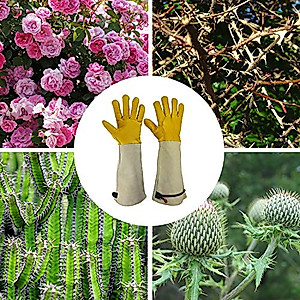 GLOSAV Gardening Gloves Thorn Proof for Rose Pruning & Cactus Trimming, Long Leather Garden Gloves for Women & Men (XL)