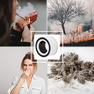 Nispira 3-in-1 True HEPA Filter + Carbon Compatible with AFLOIA FILLO, HALO, MOOKA Allo Air Purifier, Honati, Miroco, Vanaheim and Saki Air Purifier, 2 Packs