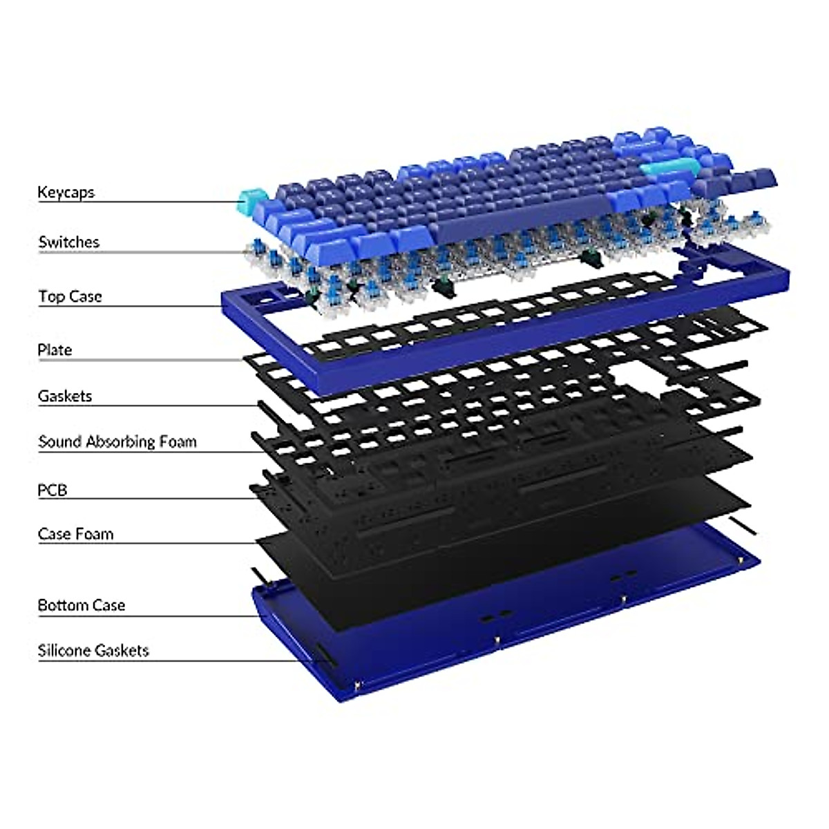 Keychron Q1 RGB Wired Custom Mechanical Keyboard, 75% Layout QMK/VIA Programmable Macro with Hot-swappable Gateron G Pro Blue Switch Double Gasket Compatible with Mac Windows Linux (Blue) -Version 2