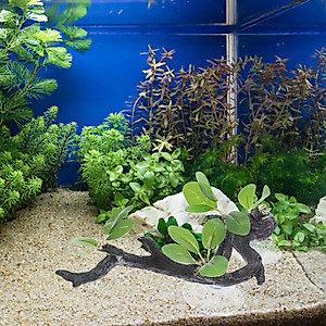 Simulation Resin Reptile Tank Accessories Resin Crafts Tree Parts Decor Reptile Accessories for Habitat Fish Tank Charms Reptile Decorations Aquarium Supplies Reptile Tank Decor