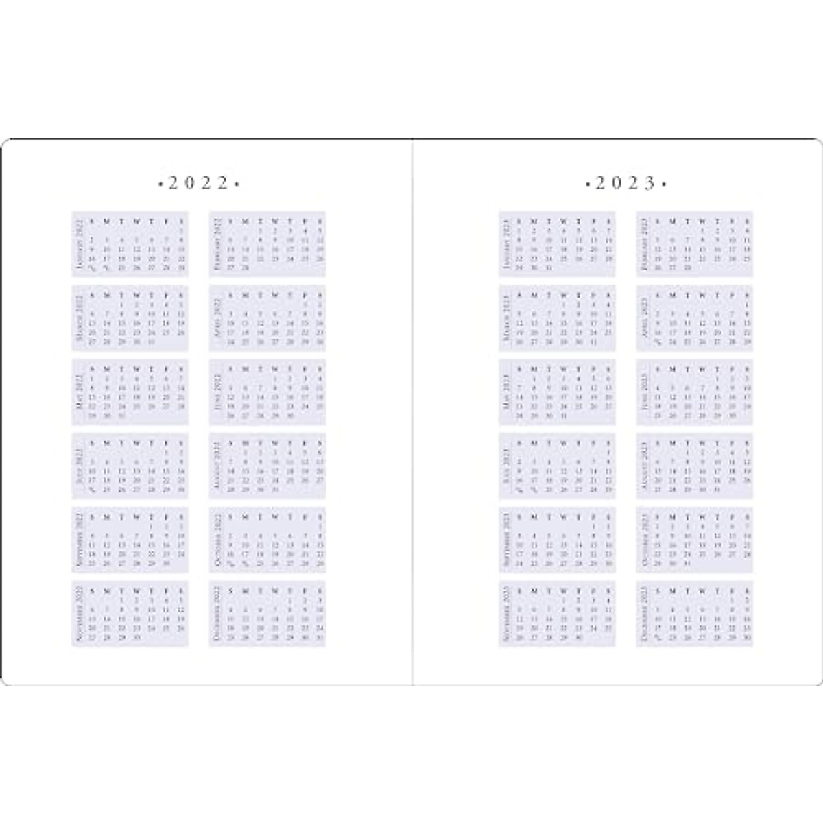 2023 Hydrangeas Family Weekly Planner (18-months, July 2022 - December 2023)