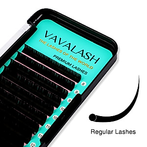 Eyelash Extensions 0.05 C Curl 13mm Lash Extensions Supplies Individual Lashes Premium Silk Volume & Classic Lash Soft Matte Dark Professional Eyelashes Extension (0.05-C-13mm)