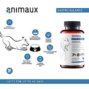 animaux – Gastro Balance for Dogs, Digestive Health Support and Probiotics, Brewer’s Yeast, Fennel, Helps to Relieve Diarrhea, Excess Winds, Irritable Bowel, 40 Chewable Tablets, 40 Days Supply
