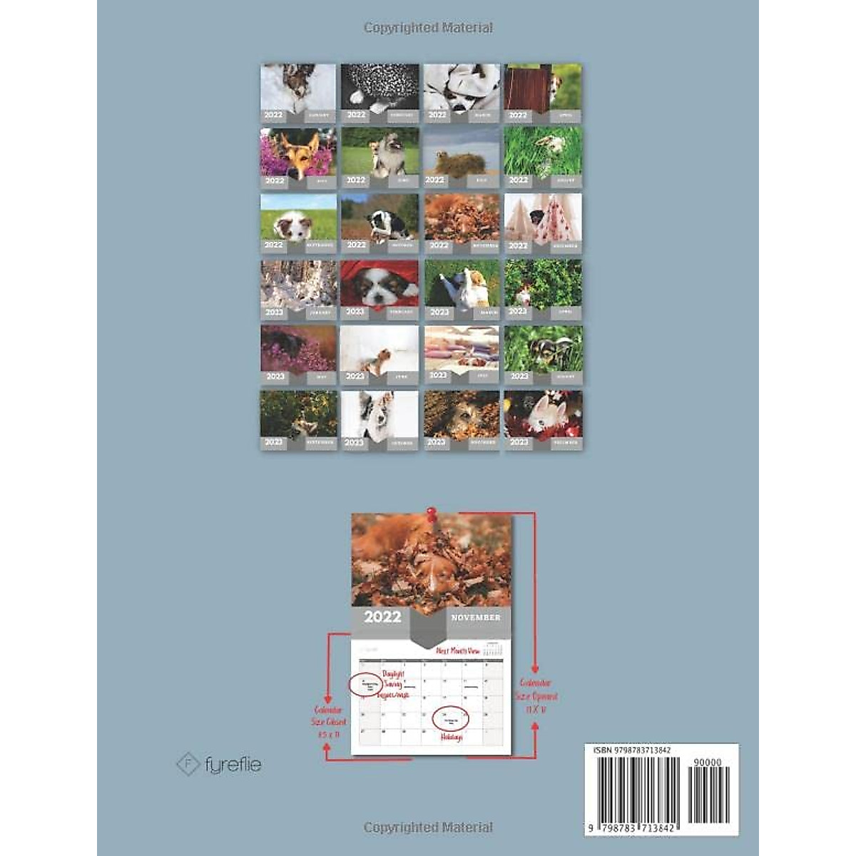 Where's the Dog? 24-Month Calendar for 2022 and 2023: With Full Color Photos of Pooches Playing Hide-and-Seek