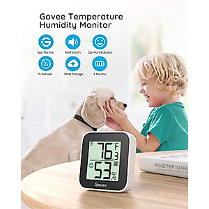 Govee Temperature Humidity Monitor 2-Pack, Indoor Room Thermometer Hygrometer with App Alert, Mini Bluetooth Digital Thermometer Humidity Sensor with Data Storage for Home Greenhouse Cellar