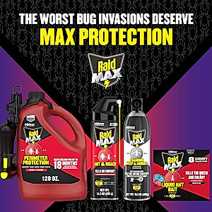 Raid MAX Perimeter Protection, 1 Gallon, Indoor & Outdoor Insecticide Spray with Reusable Electric Sprayer