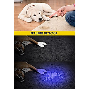 DARKBEAM UV Light Rechargeable USB Flashlight 395nm Blacklight Ultraviolet Wood's Lamp LED Portable Mini Handheld Pocket Torch Detector for Dog Urine Pet Stains Anti-counterfeiting, Resin Curing