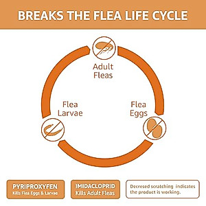 Amazon Basics Topical Flea Treatment for Medium Cats (5-9 Pounds), 6 Count (Previously Solimo)