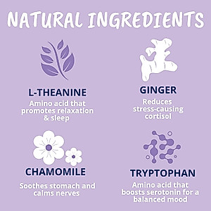 Under The Weather Calming Powder for Dogs | Vet Formulated All-Natural Calming Supplement for Dogs | Help Reduce Stress & Anxiety for Dogs | 120 Servings