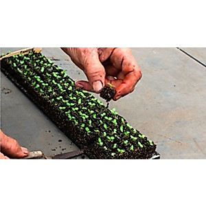 Ladbrooke Genuine Soil Block Maker - Micro 20 Hand Held, Made in England