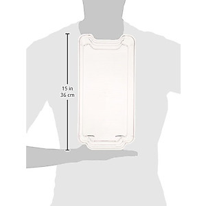 Dial Industries Multi-Purpose Organizer, 12-1/2 x 6-1/4 x 3-1/2 Inches, Clear (B673)