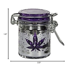Airtight Glass Herb Stash Jar with Clamping Lid in Choice of Design (Metallic Silver/Purple, Small)