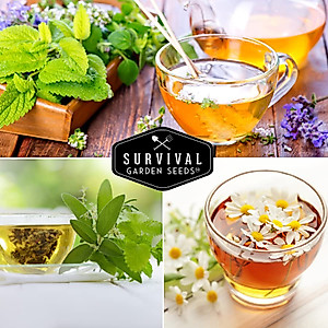 Survival Garden Seeds Medicinal Tea Collection - 9 Non-GMO Heirloom Herbs to Grow in The Vegetable Garden - Chamomile, Lavender, Echinacea, Catnip, Lemon Balm, Marigold, Sage, Peppermint, Red Yarrow