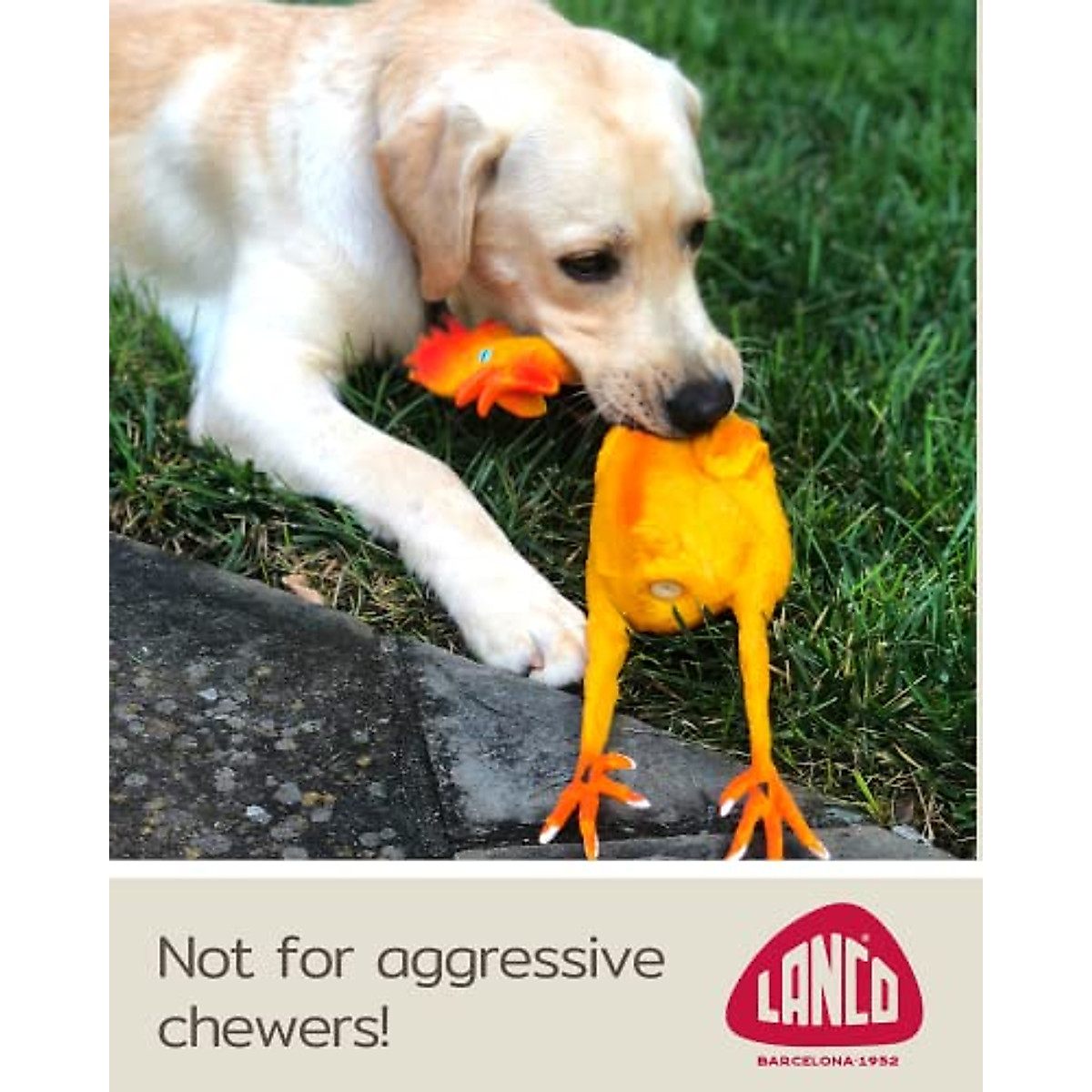 Rubber Chicken Dog Toys - Natural Rubber (Latex) - Lead-Free Chemical-Free - Handpainted - Soft Unstuffed Squeaky (X Large)