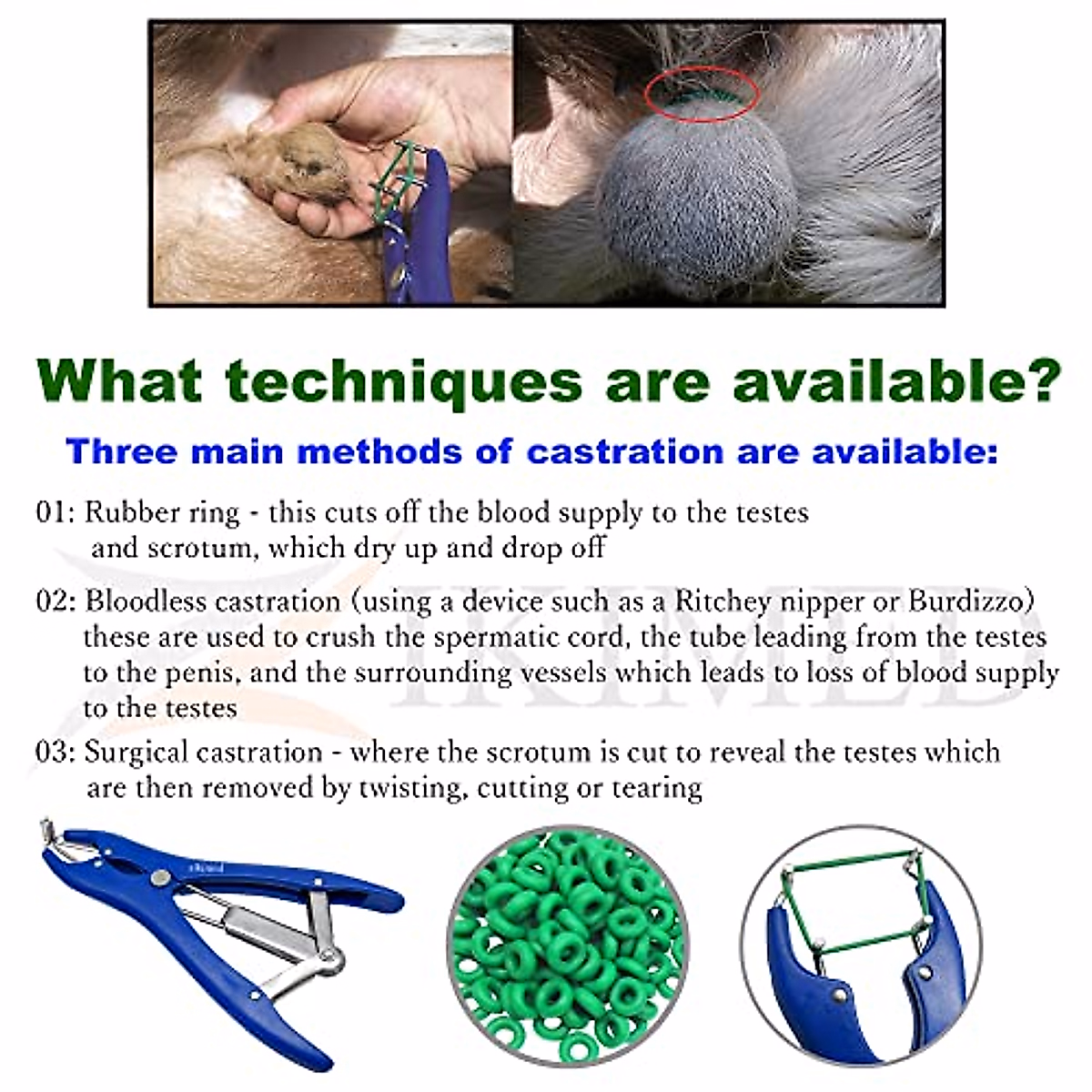 Bloodless Animal Elastrator Castration or Tail Docker Pliers Plastic & Free 100 pcs Elastic Bands (animal only)